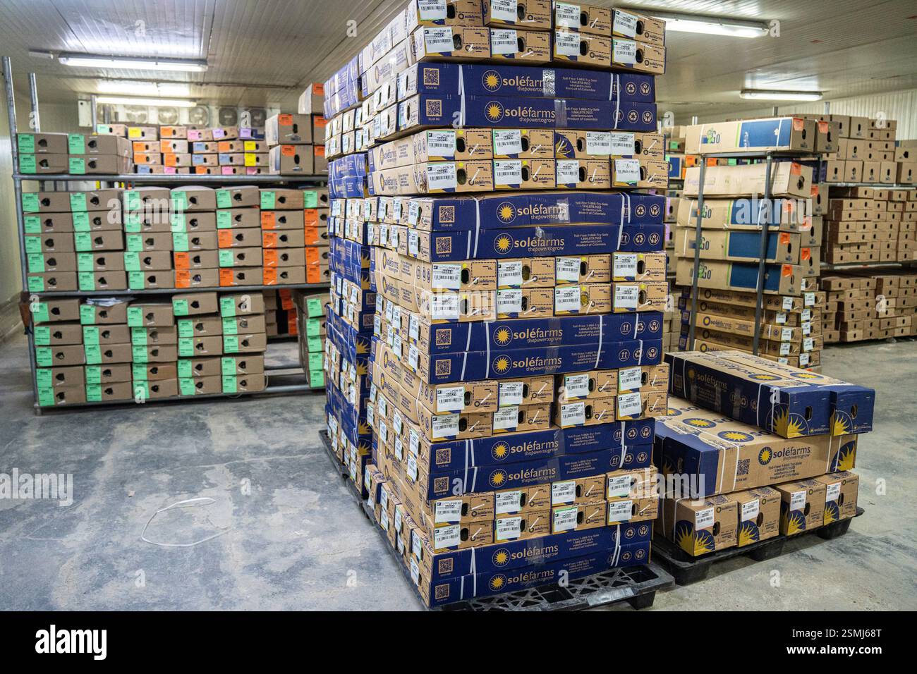 12 February 2025, Colombia, Antoiquia: Cold storage for storing flowers ...