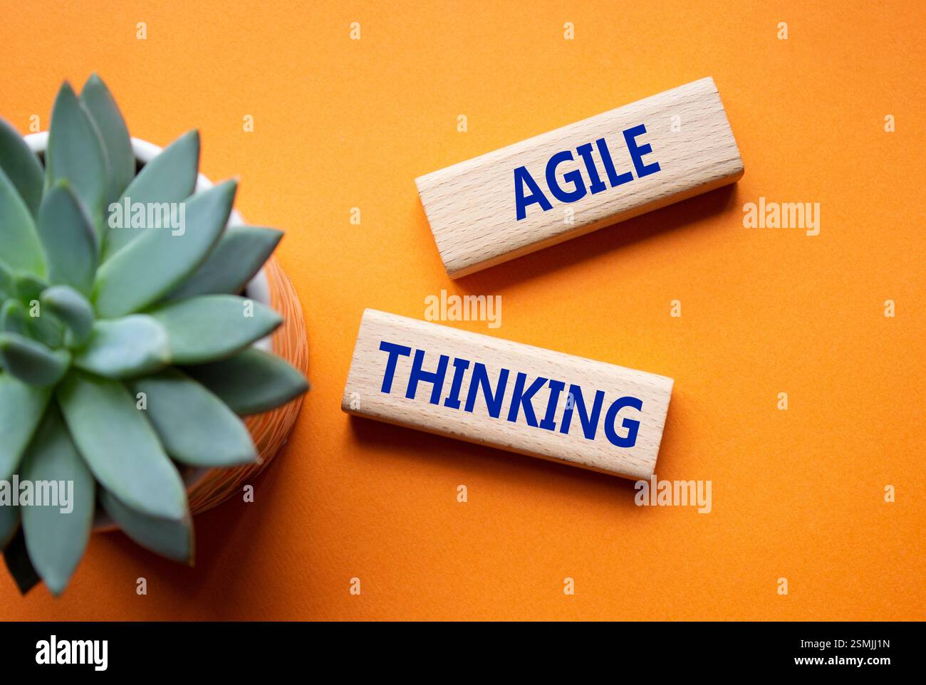 Agile Thinking symbol. Wooden blocks with words Agile Thinking ...