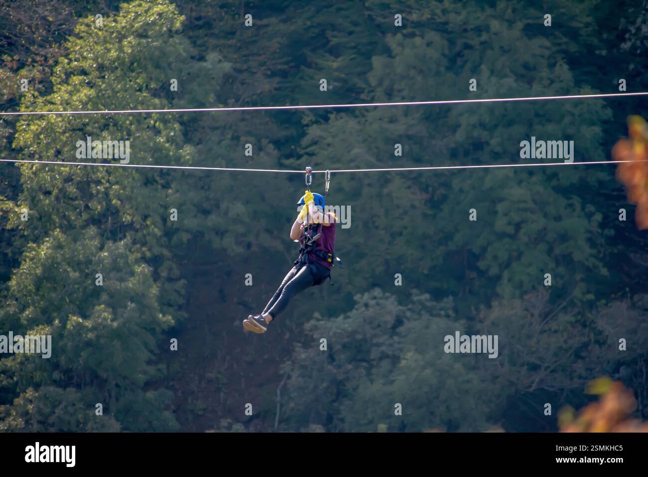 Zipline in the forest. Beautiful view from zip line. Riding on a zip ...