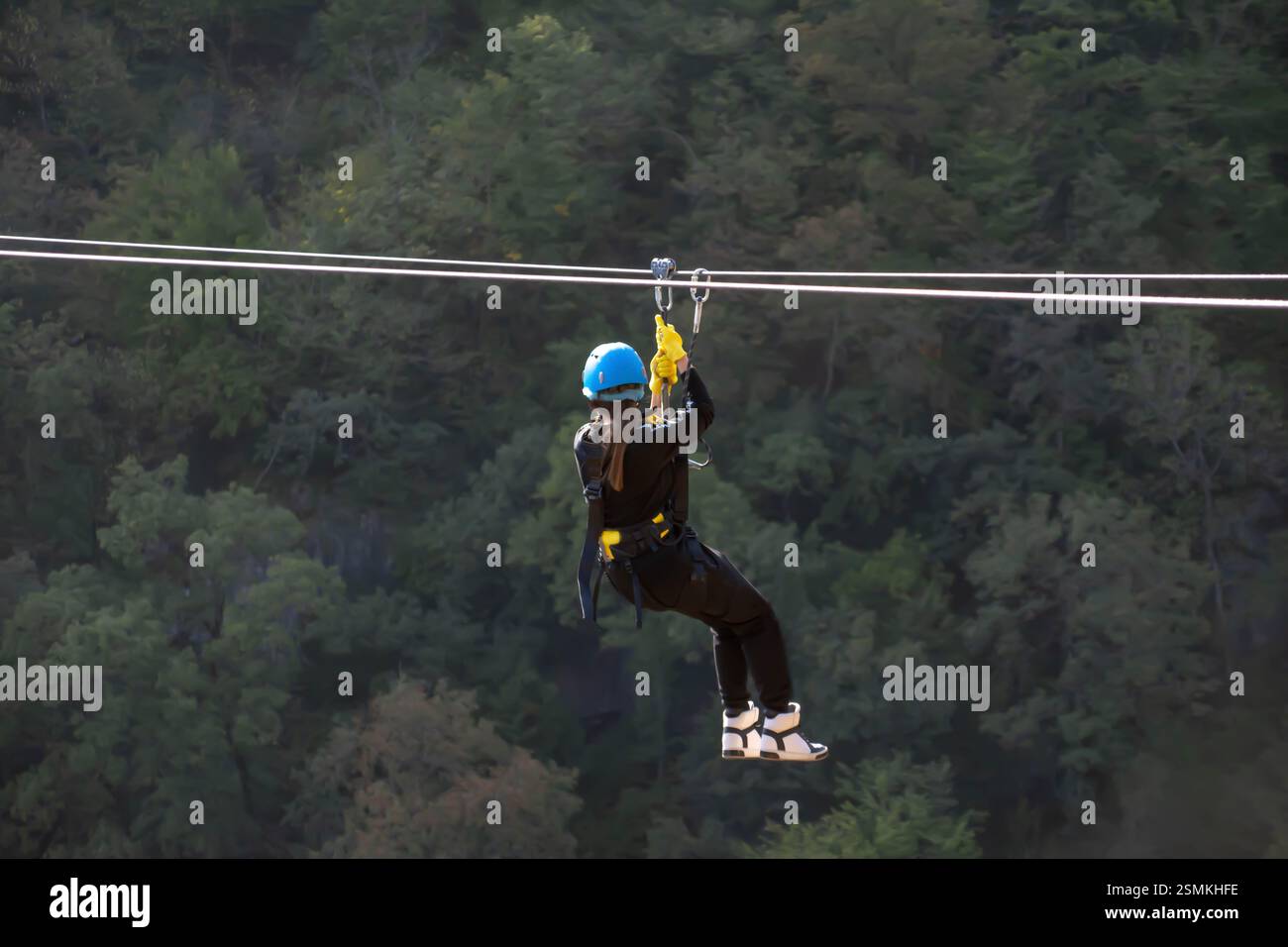 Zipline in the forest. Beautiful view from zip line. Riding on a zip ...