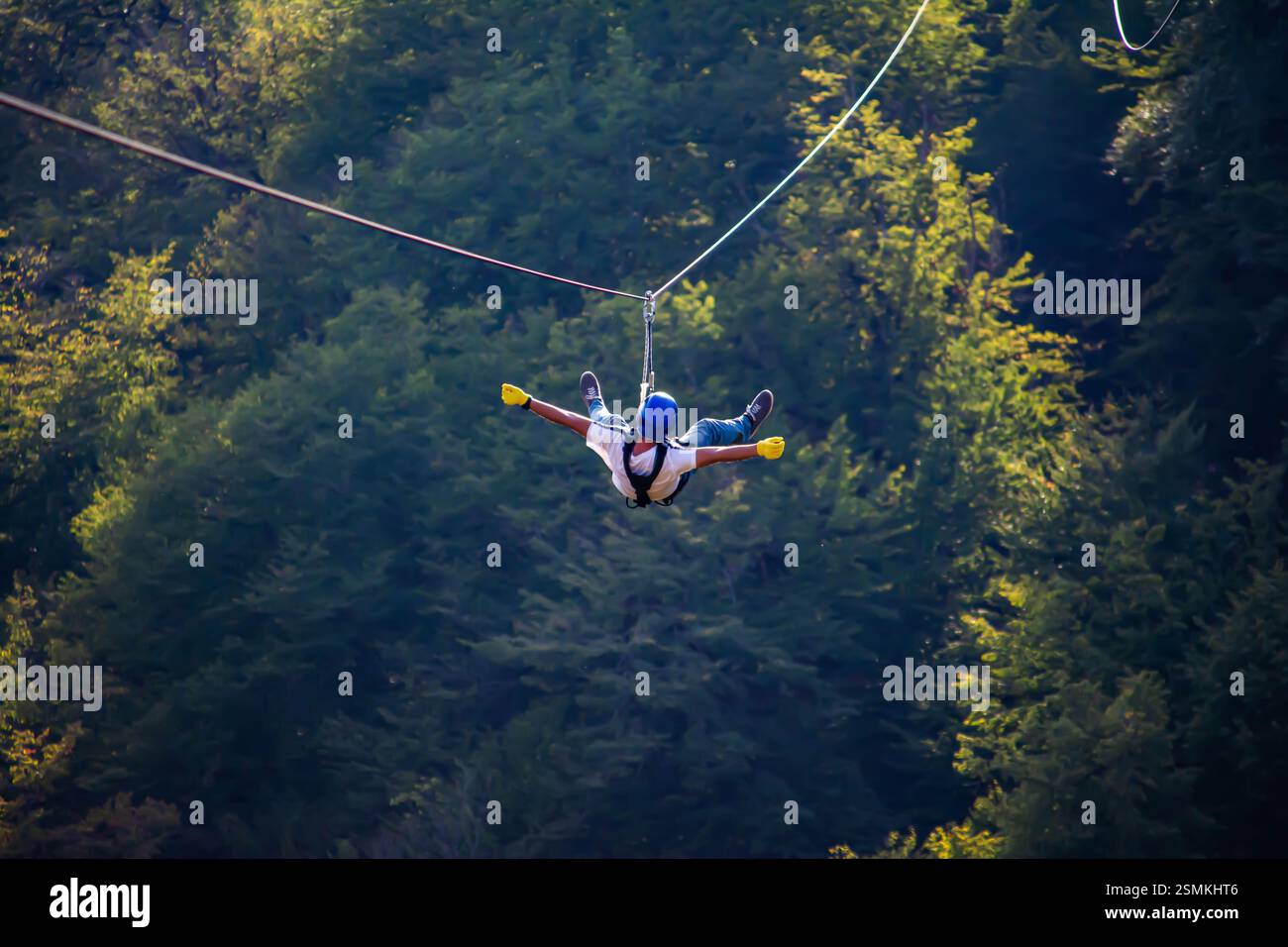 Zipline in the forest. Beautiful view from zip line. Riding on a zip ...