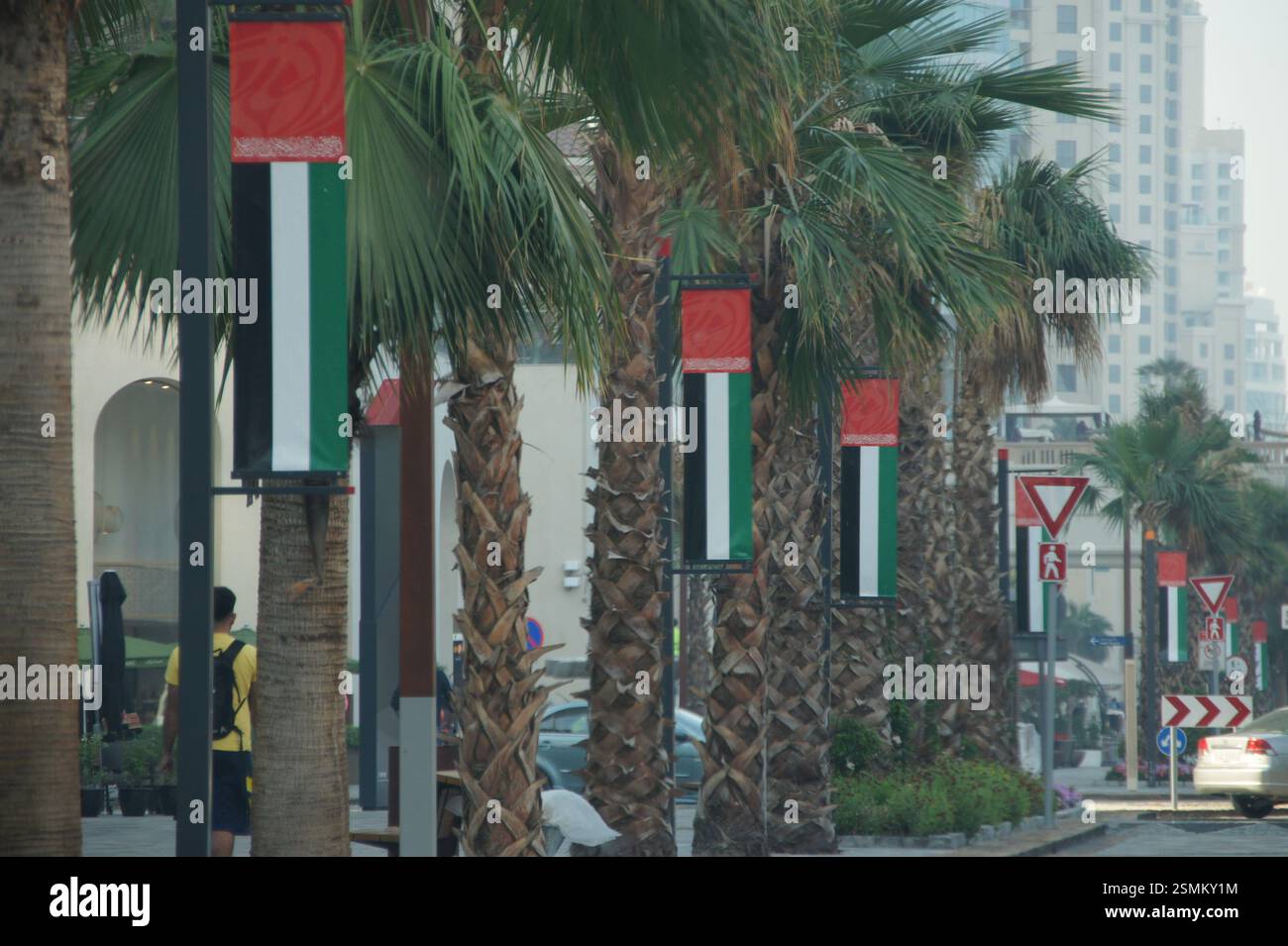 Skyscrapers pierce the sky next to swaying palm trees in Dubai ...