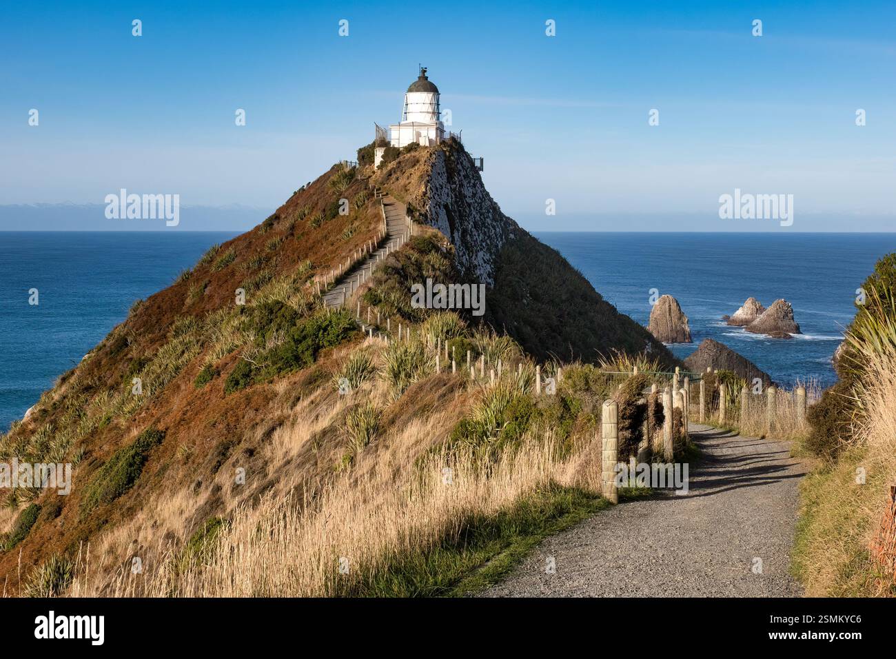 Iconic Nugget Point lighthouse on the Catlins Coast Stock Photo - Alamy
