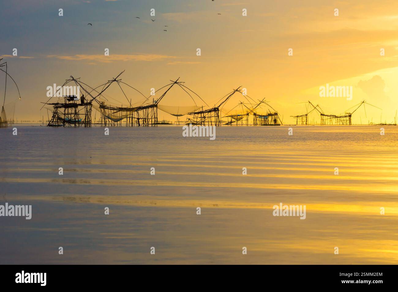 A giant fish trap or a fish trap is a device used to catch large fish ...