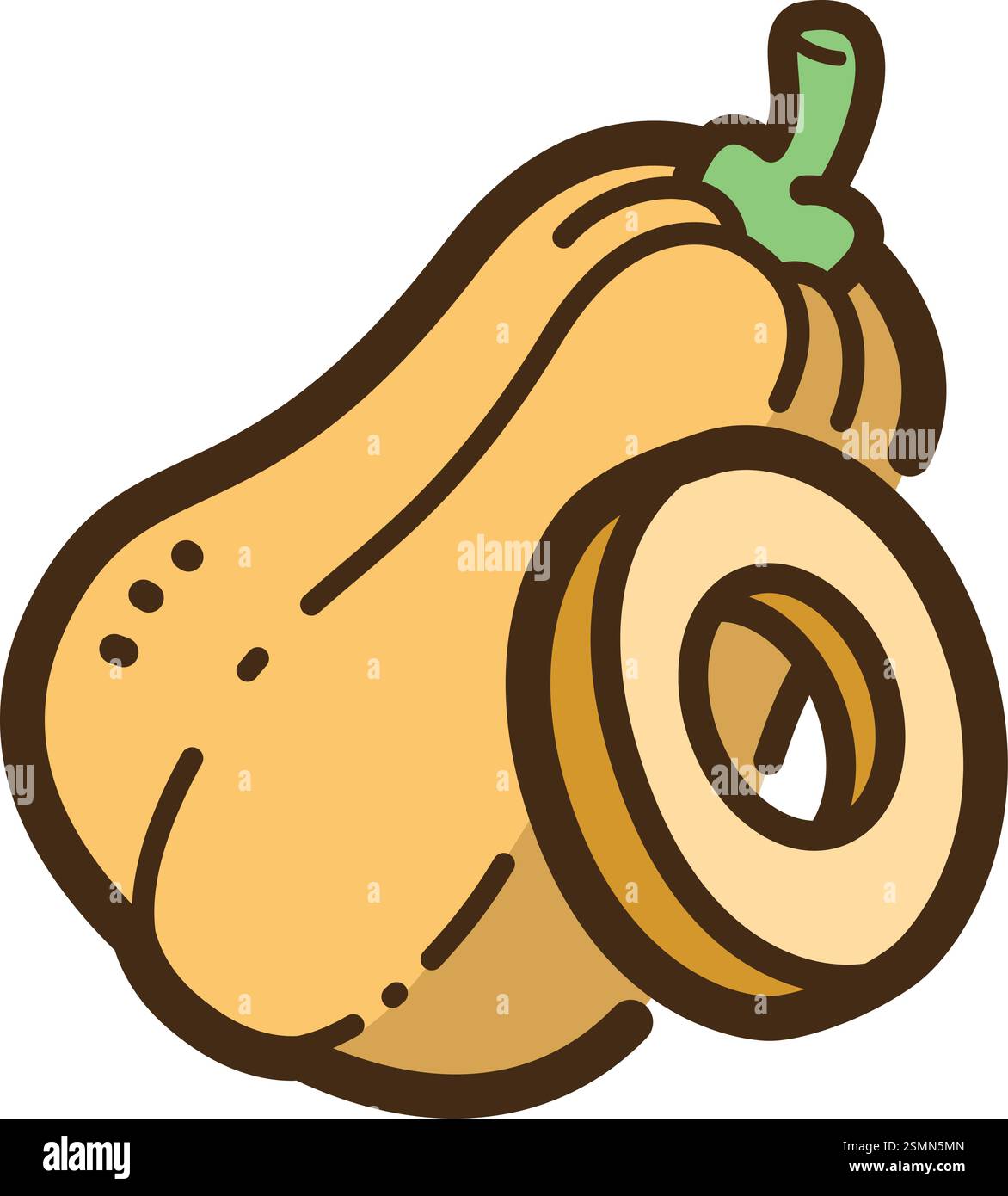 Orange butternut squash illustration Stock Vector Images - Alamy