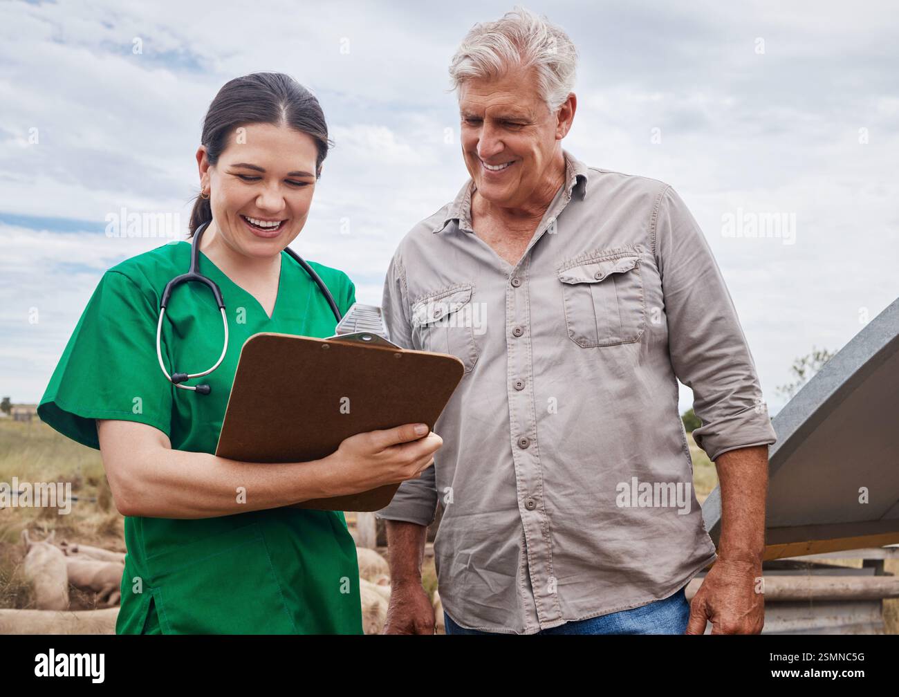 Vet, clipboard or people farming with smile or pigs for medical review ...