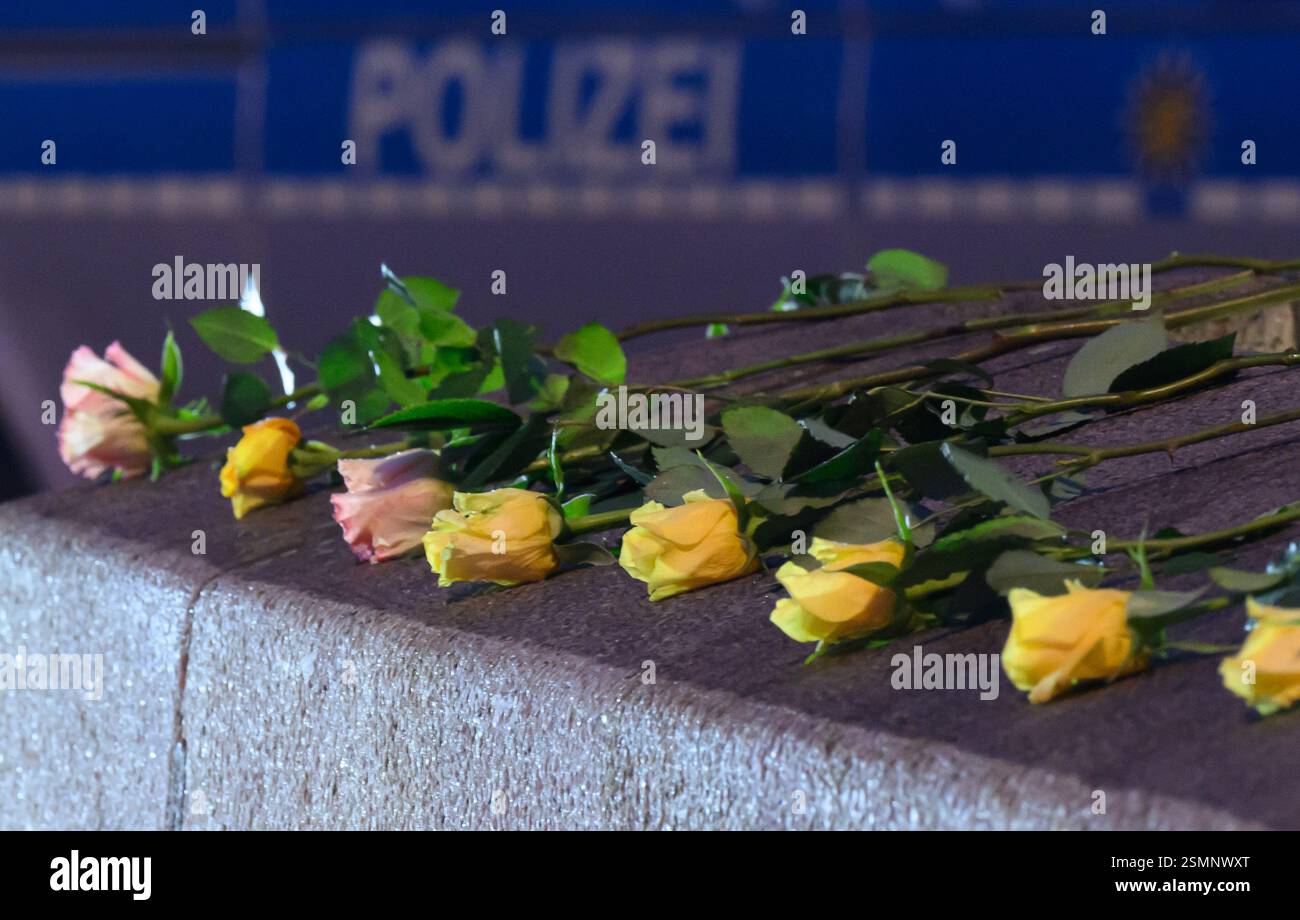 Dresden, Germany. 13th Feb, 2025. Roses and candles are laid on the ...