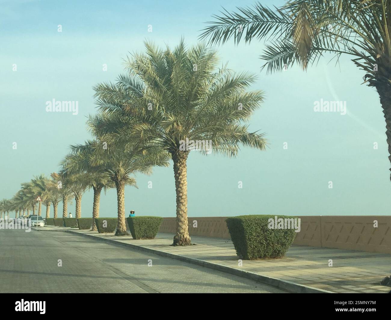 Palm trees frame a scenic coastal road in Dubai, evoking tranquility ...