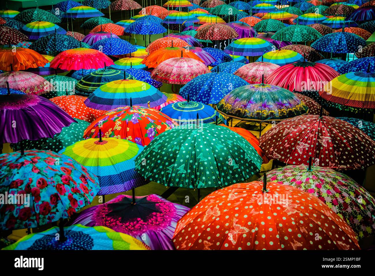 In Dubai, a chaotic rainbow of closed umbrellas huddles together ...