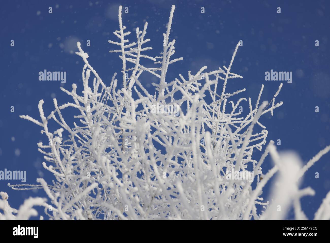 Rime scenery around the Hun River in Shenyang City, northeast China's ...