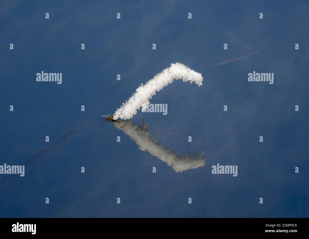 Rime scenery around the Hun River in Shenyang City, northeast China's ...