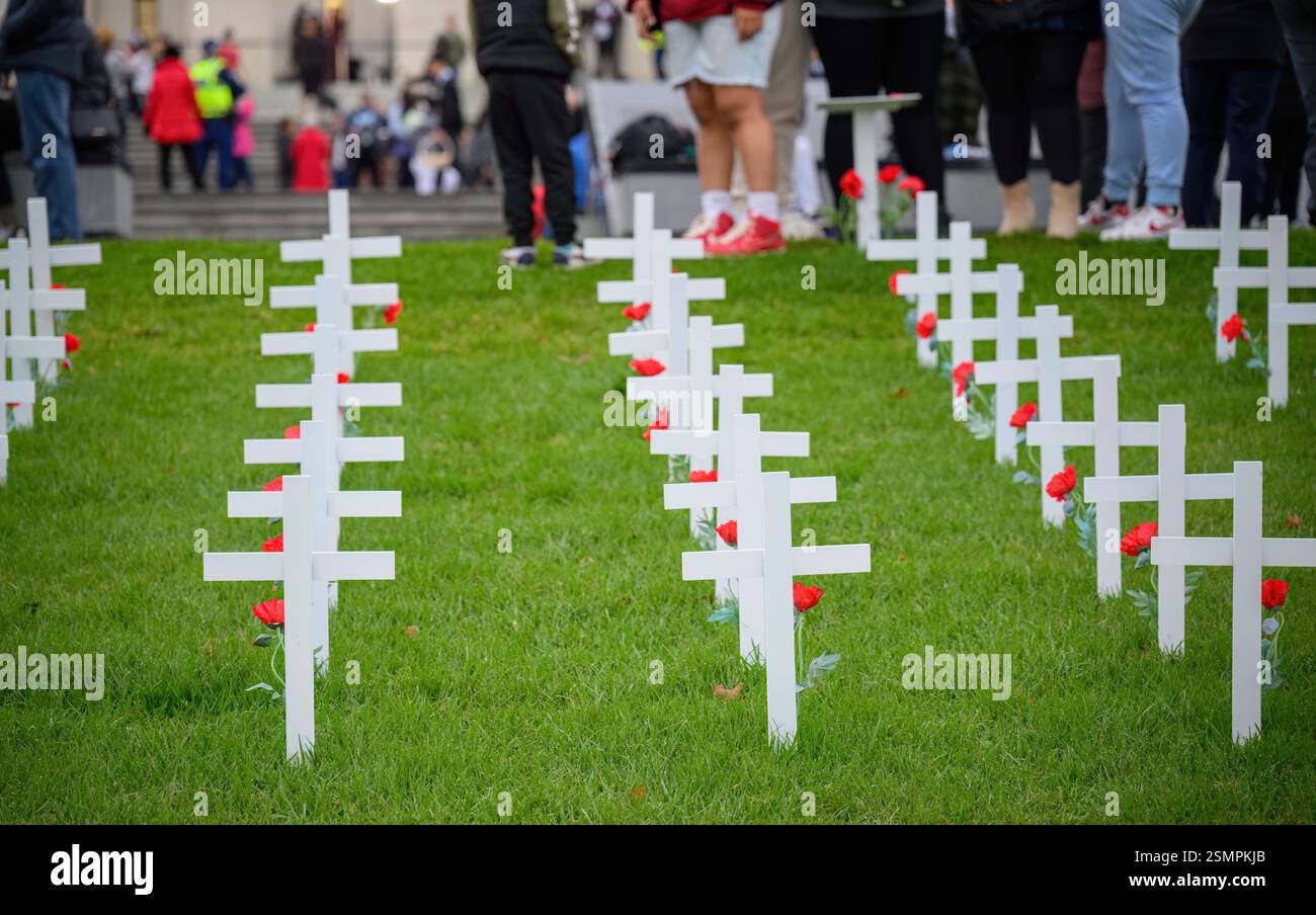 White crosses and red poppies at Anzac Day commemoration. Out-of-focus ...