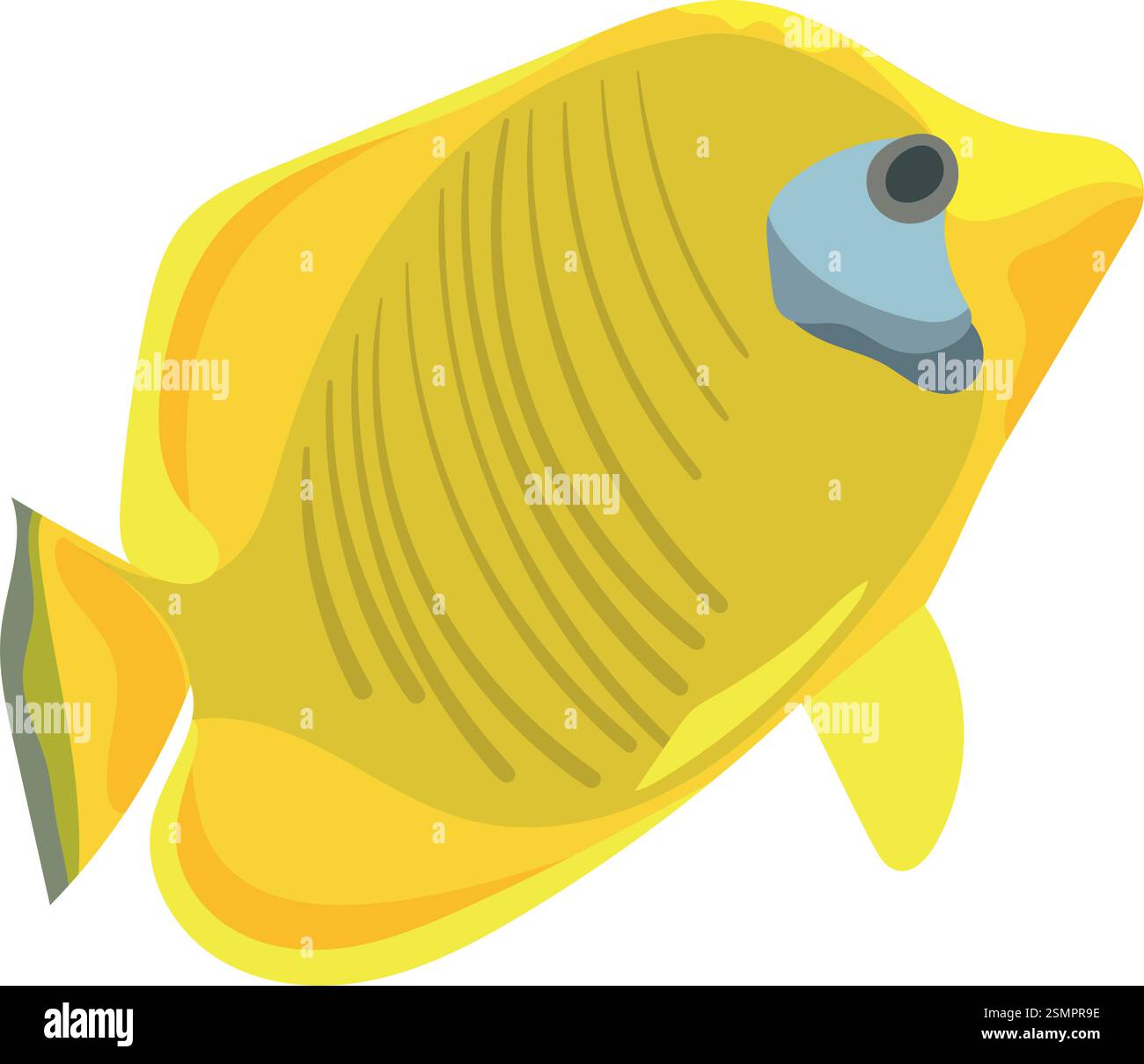vector drawing tropical fish, yellow tang, lemon sailfin, somber ...