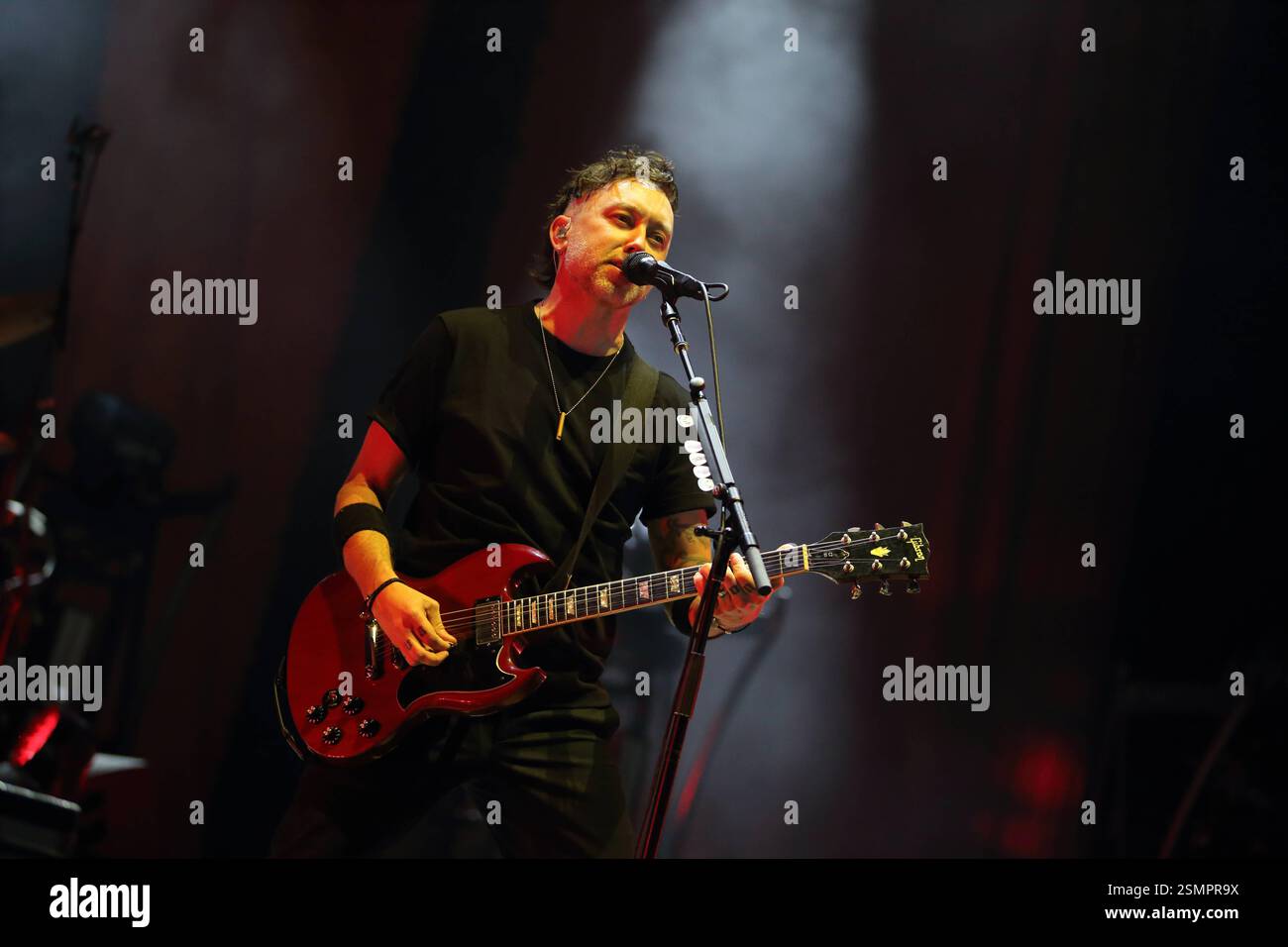 Tim McIlrath von der Band Rise Against bei einem Konzert im Velodrom in ...