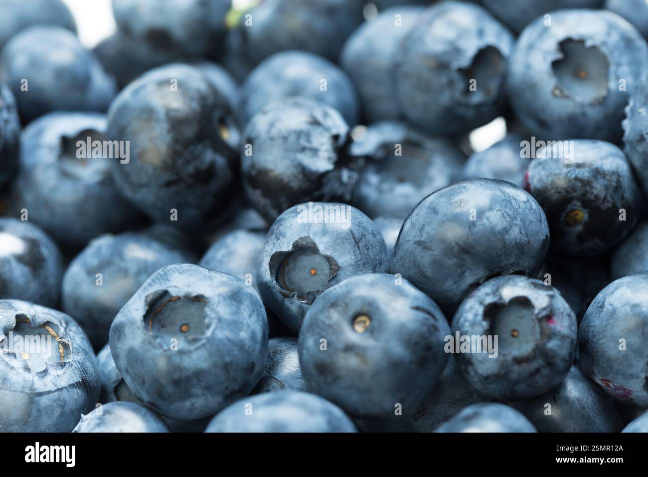 Fresh blueberries piled together, showcasing their rich color and ...