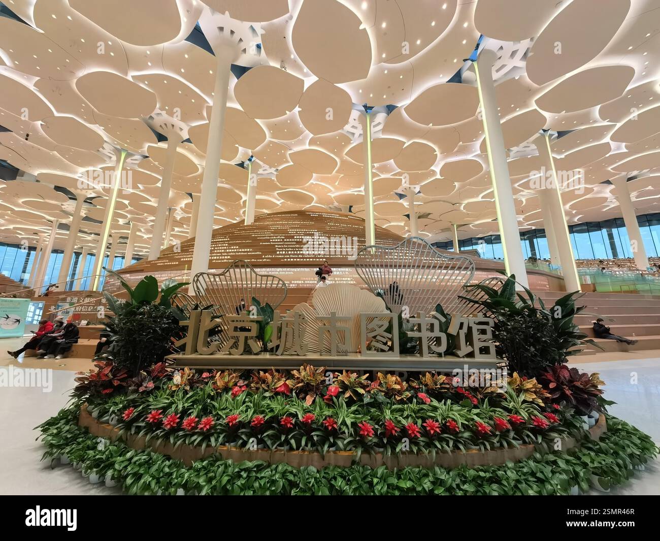 Night view of Beijing Library in Beijing, China, 9 February, 2025 Stock ...