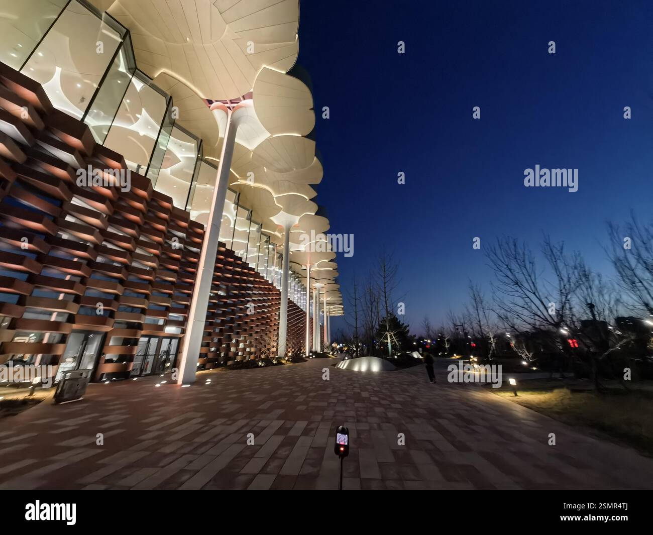 Night view of Beijing Library in Beijing, China, 9 February, 2025 Stock ...
