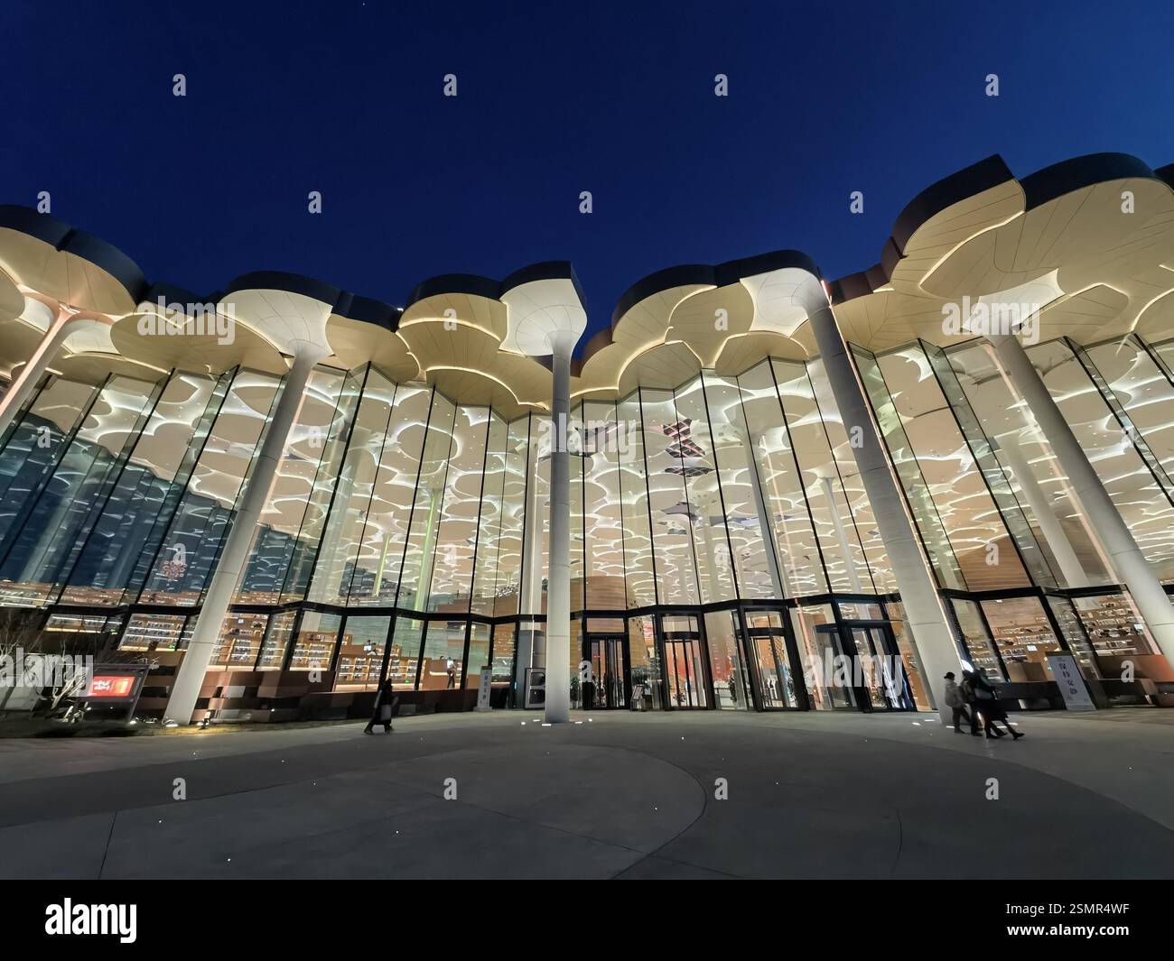 Night view of Beijing Library in Beijing, China, 9 February, 2025 Stock ...