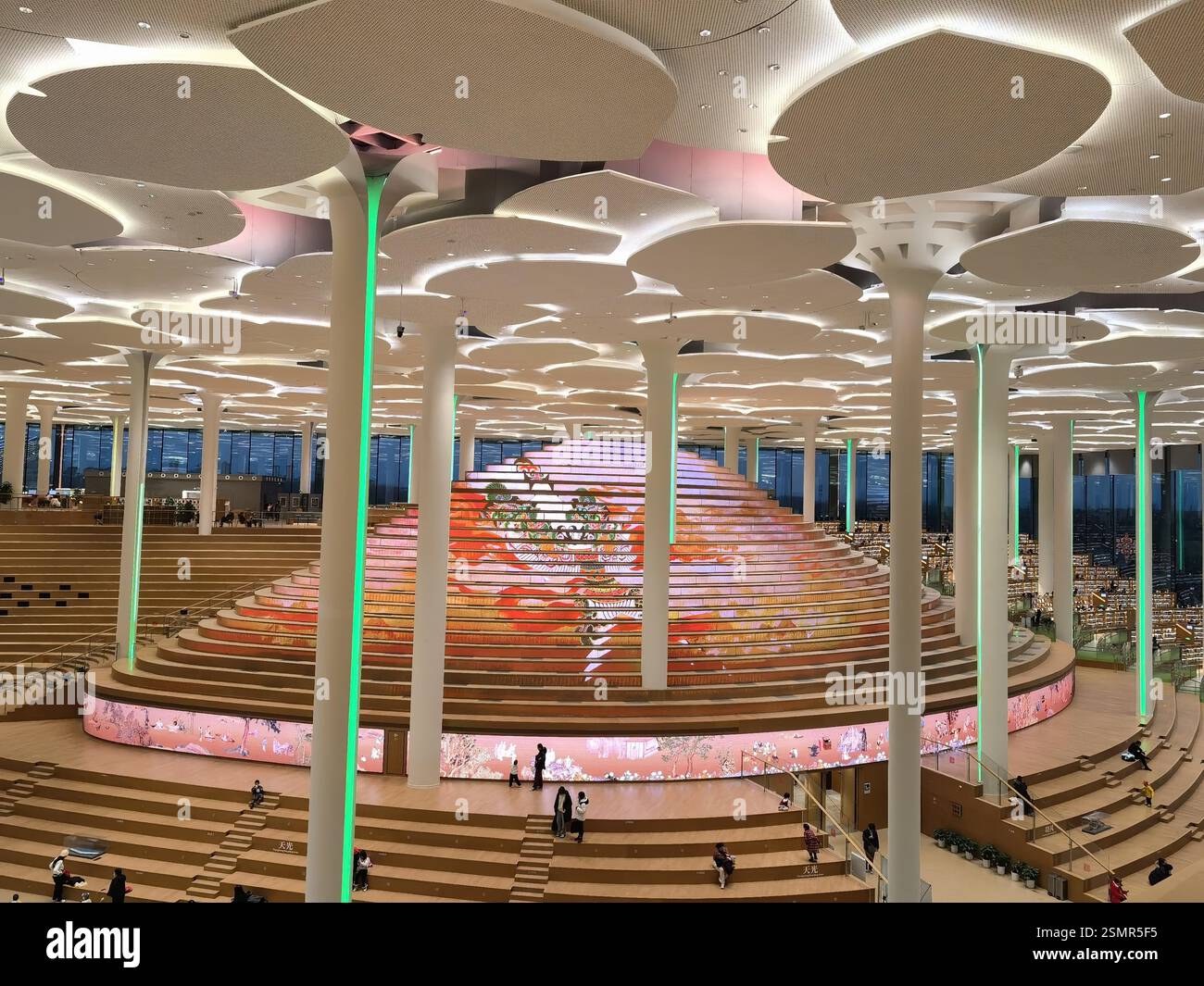 Night view of Beijing Library in Beijing, China, 9 February, 2025 Stock ...