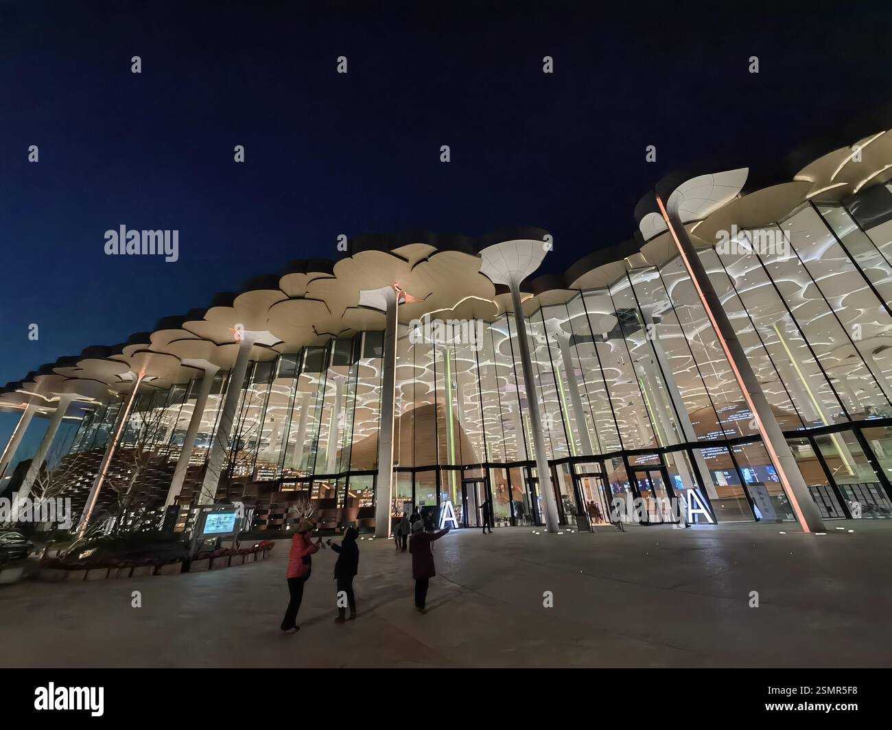 Night view of Beijing Library in Beijing, China, 9 February, 2025 Stock ...