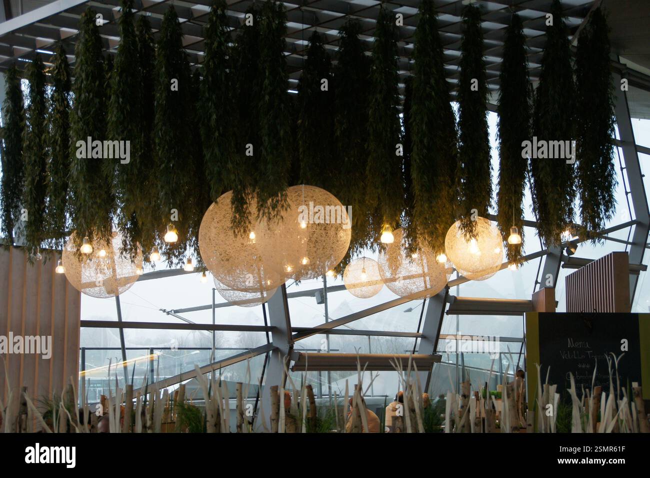 A restaurant in Germany, Munich with hanging plants. The lush greenery ...