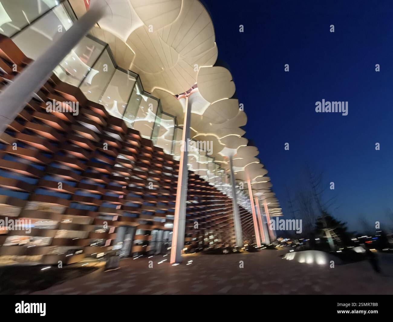 Night view of Beijing Library in Beijing, China, 9 February, 2025 Stock ...