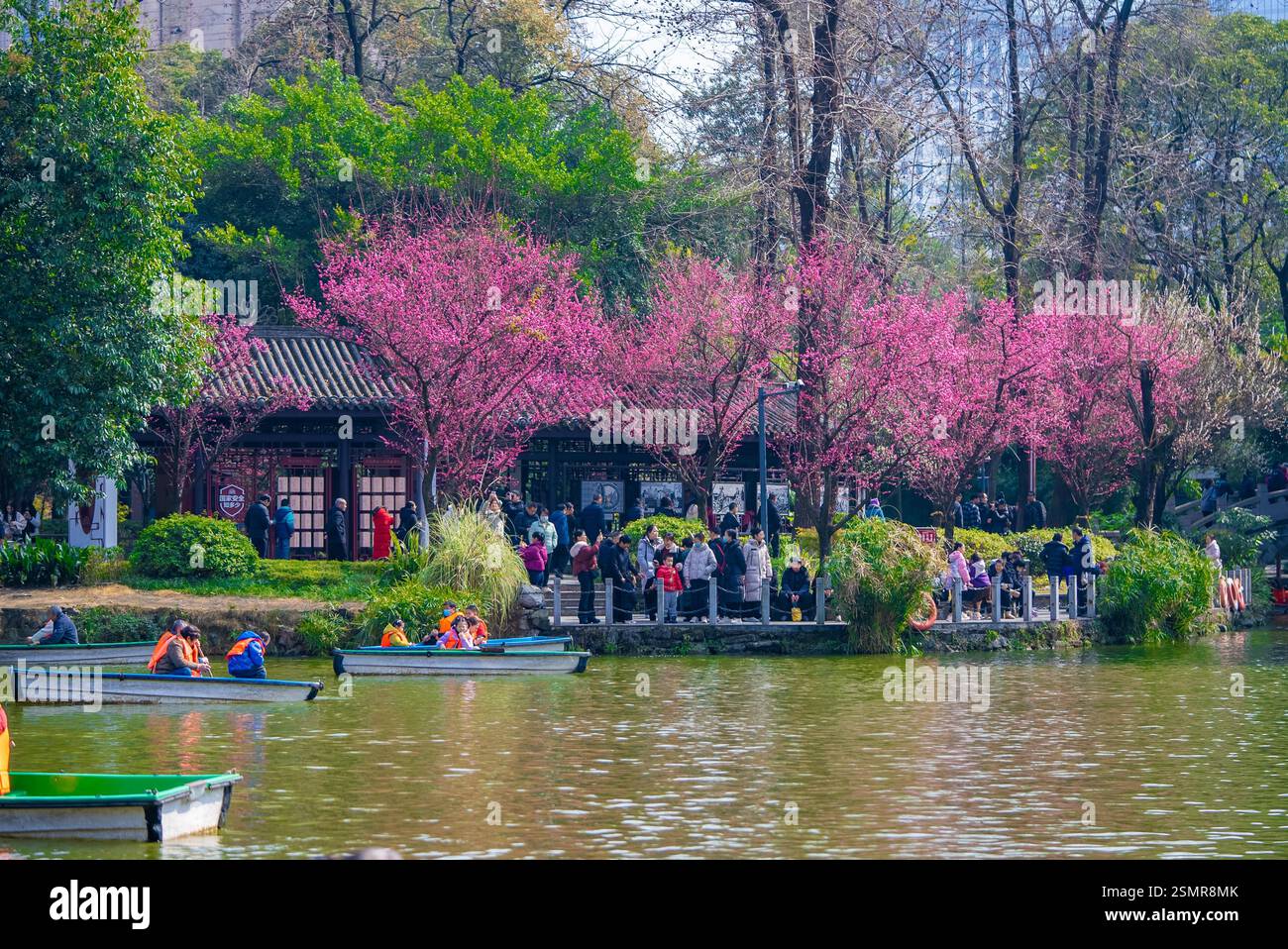 People enjoy early spring time at a park in Chengdu City, southwest ...