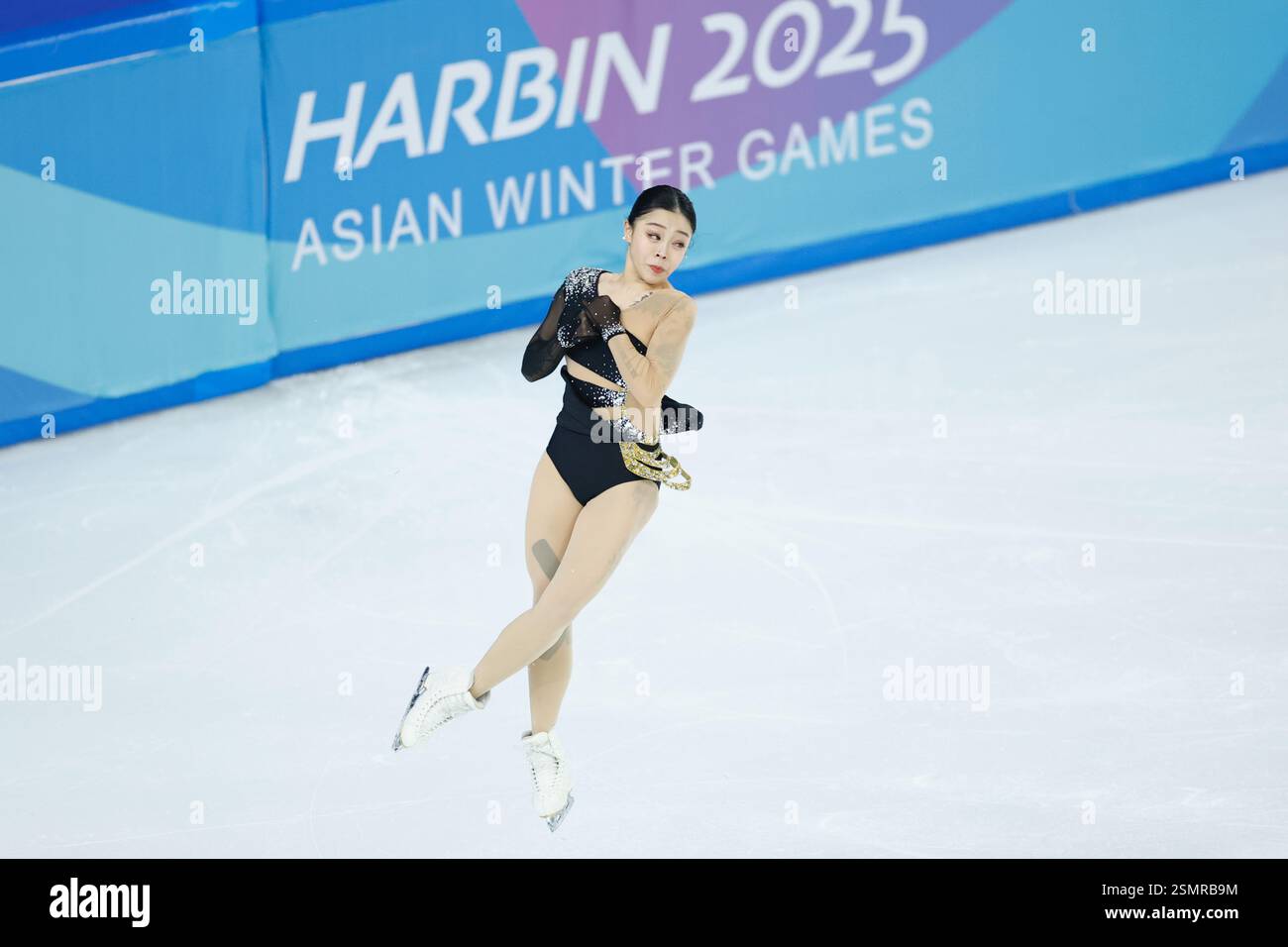 Harbin,China.12th February 2025. So Joanna of China's Hong Kong ...