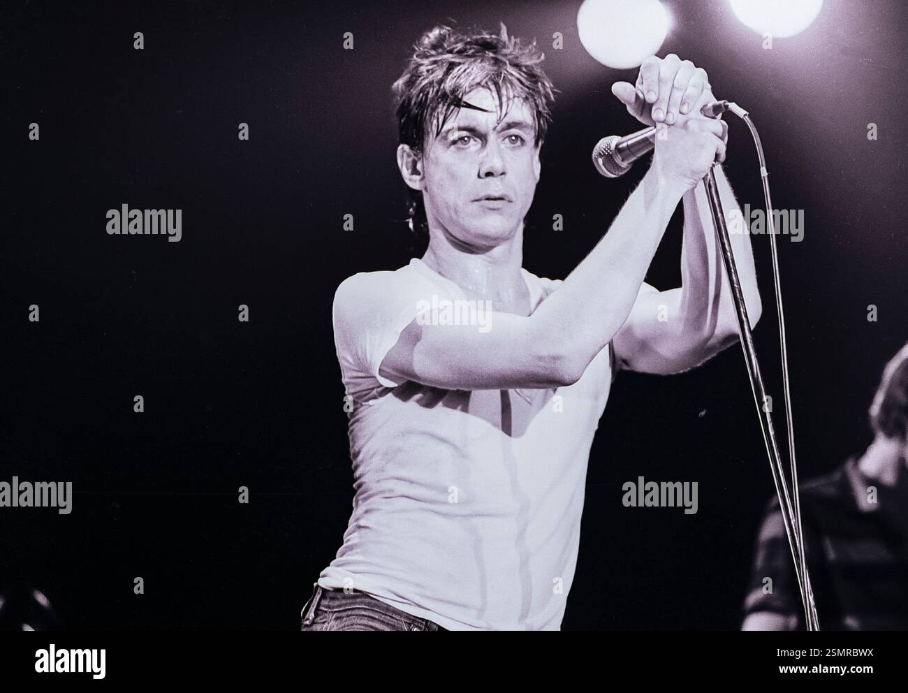 New York CIty, NY, USA, American Rock Artist, Iggy Pop, Singer ...