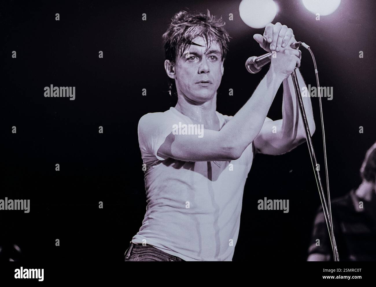 New York CIty, NY, USA, American Rock Artist, Iggy Pop, Singer ...