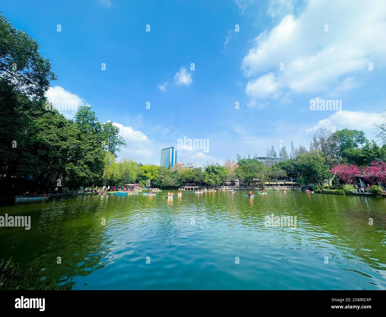 People enjoy early spring time at a park in Chengdu City, southwest ...