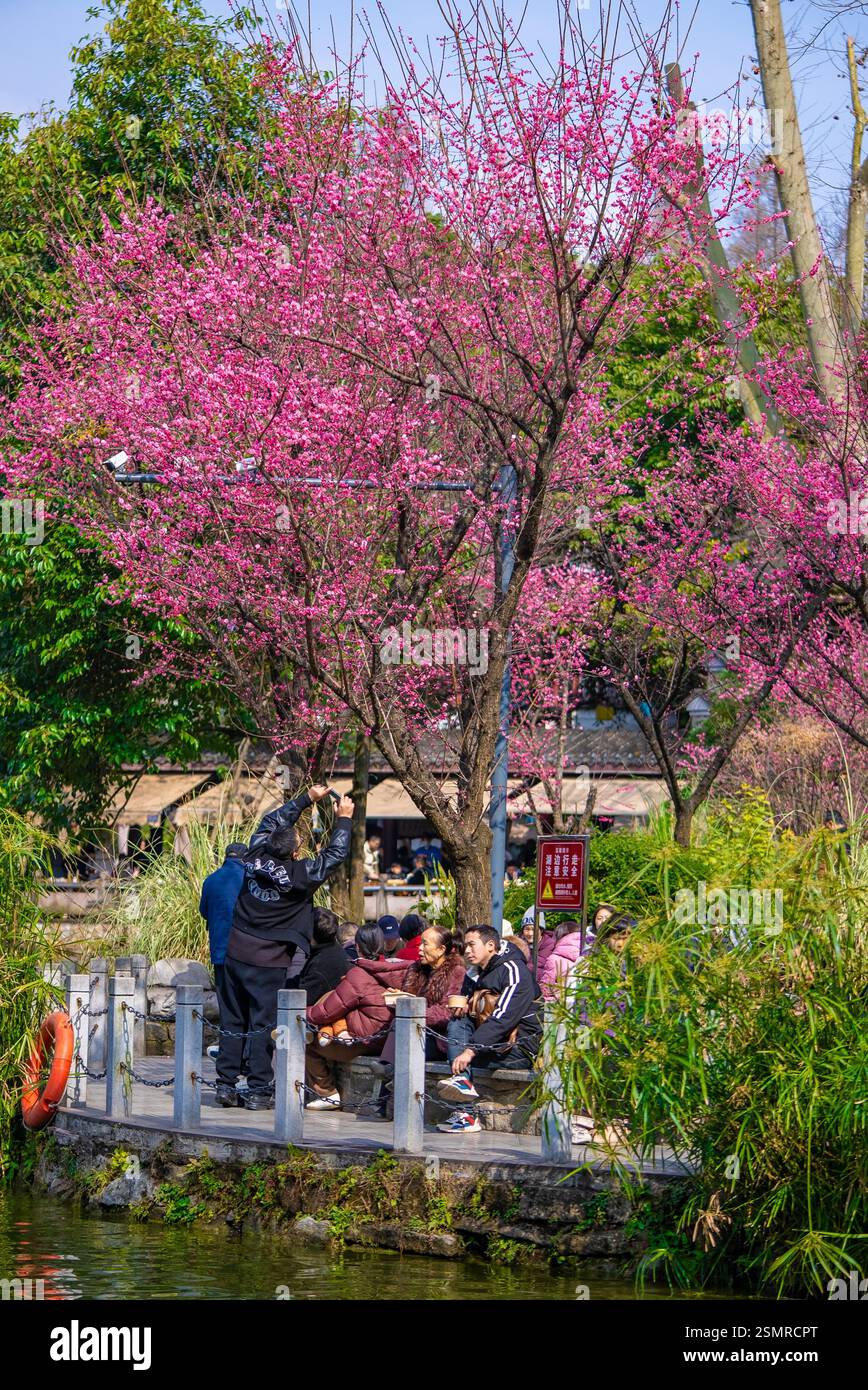 People enjoy early spring time at a park in Chengdu City, southwest ...