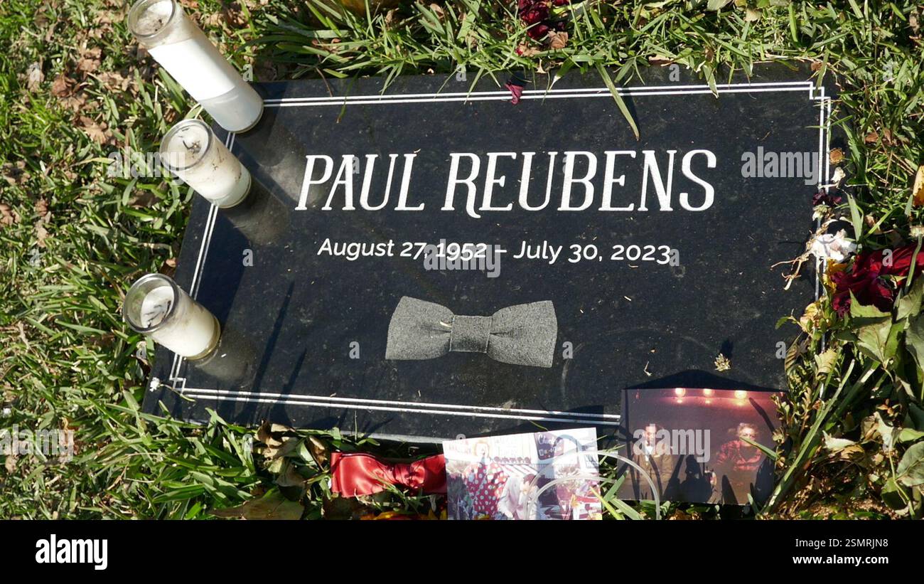 Los Angeles, California, USA 10th February 2025 Actor Comedian Paul ...