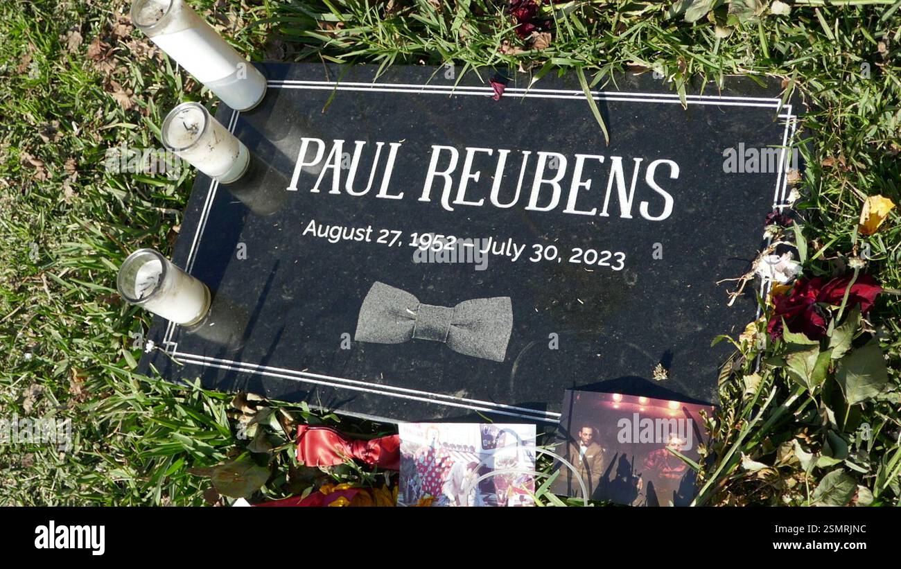 Los Angeles, California, USA 10th February 2025 Actor Comedian Paul ...