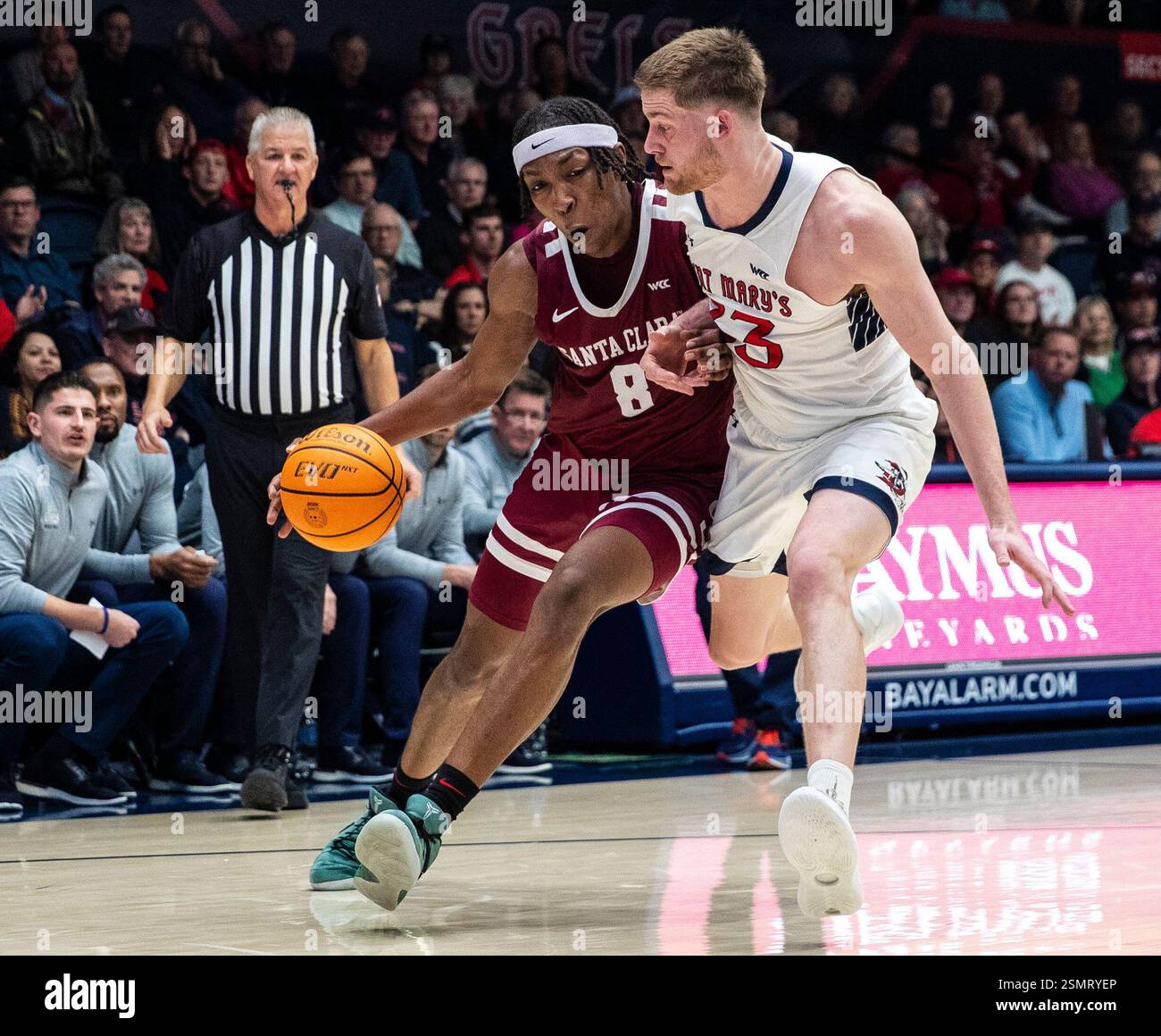 2025 0387 jpg hi-res stock photography and images - Alamy