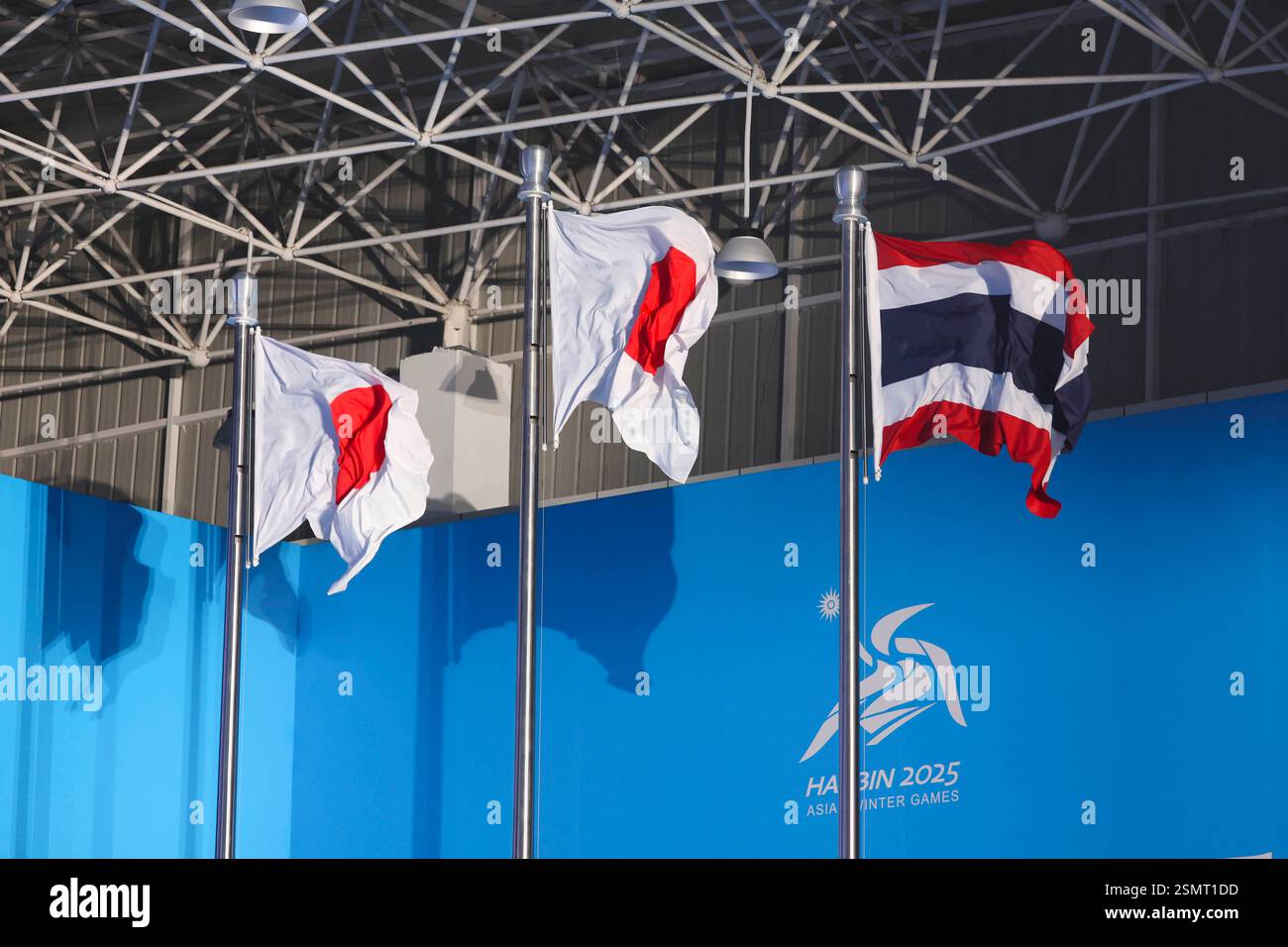 Harbin, China. 11th Feb, 2025. general view Freestyle Skiing : Men ...