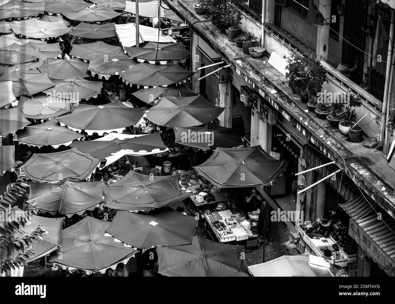 Beautiful daily life of traditional market at Phung Hung street, Cho ...