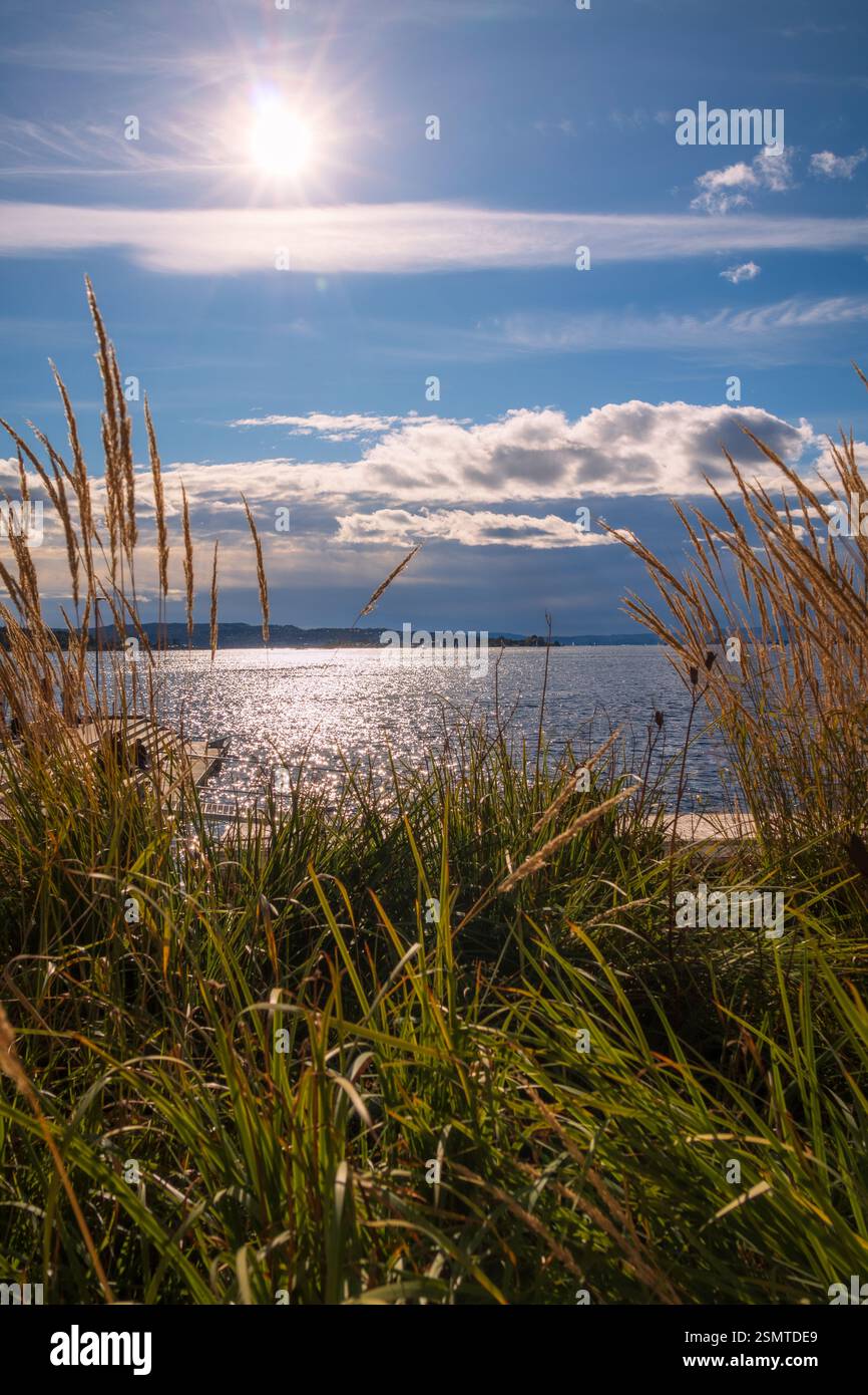 Summer at Aker Brygge—wooden steps by the fjord, a perfect spot to dive ...