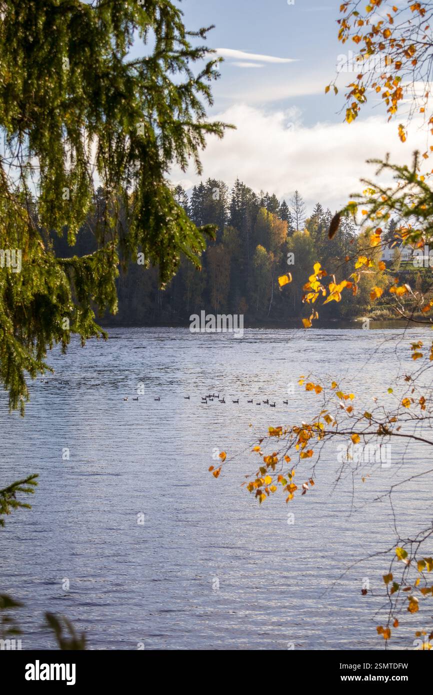 Bingfossen—where wild geese rest on driftwood, benches invite ...