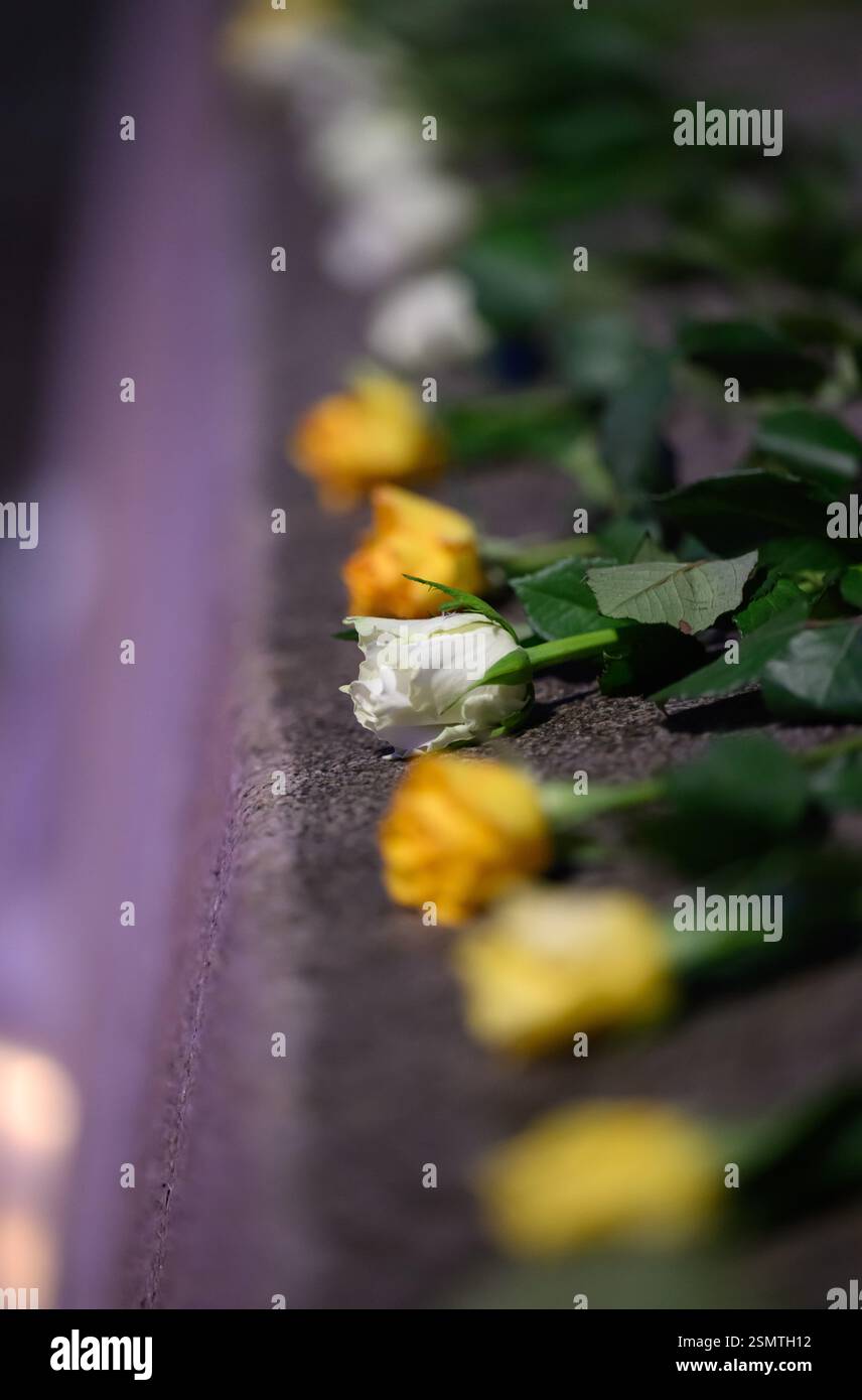 Dresden, Germany. 13th Feb, 2025. Roses and candles are laid on the ...
