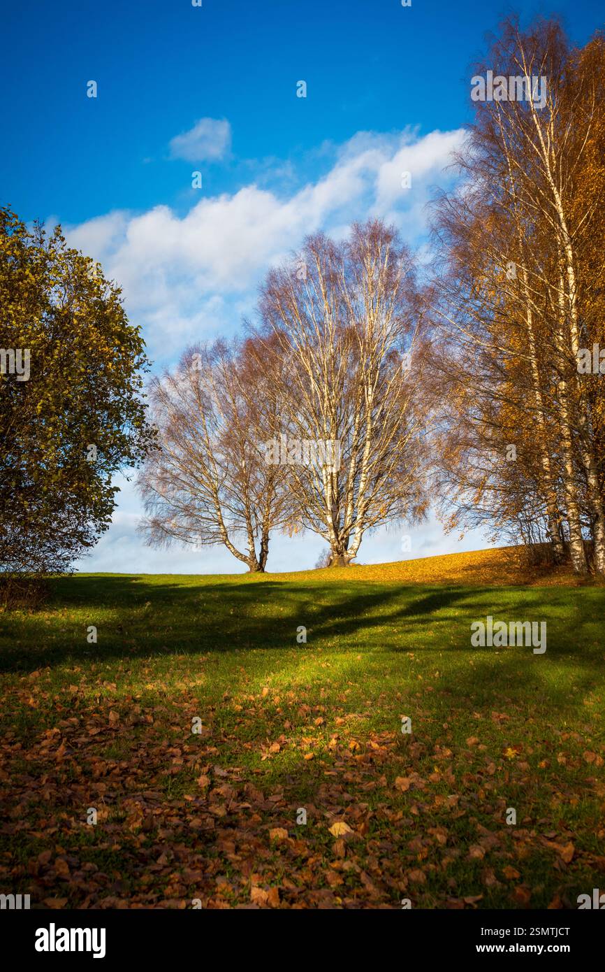 Nordbytjernet in early autumn—green grass, golden leaves, and tranquil ...