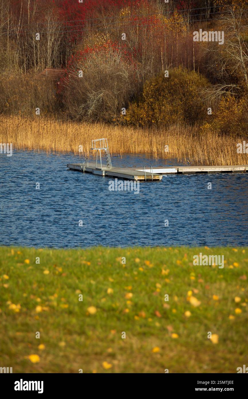 Nordbytjernet in early autumn—green grass, golden leaves, and tranquil ...