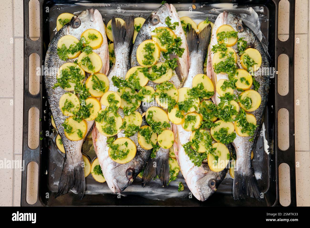 Preparation of fish for baking,fish for cooking,fresh dentex,dentex ...