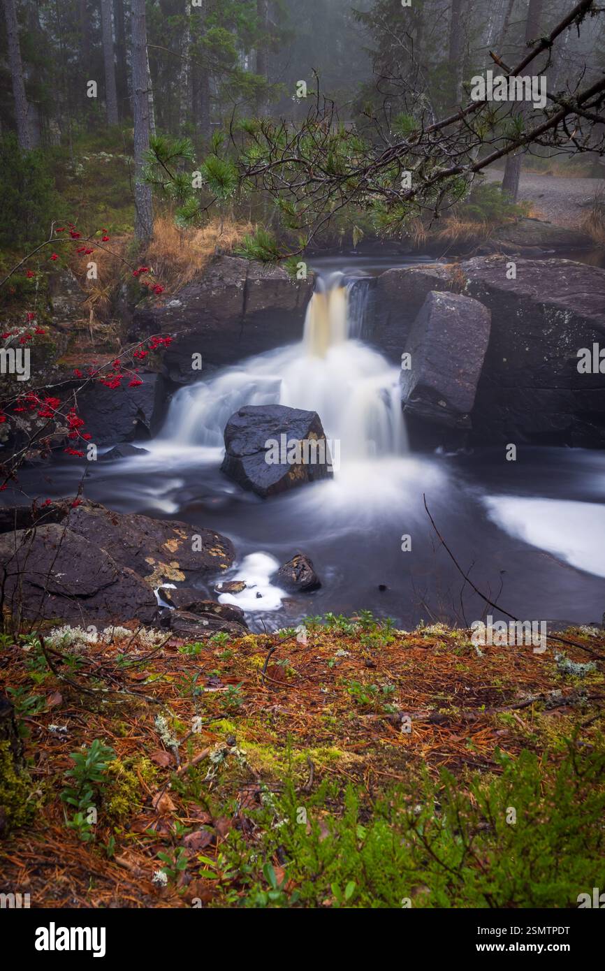 Misty autumn at Gjerdrum Almenning—fog drapes the lake, reflections ...