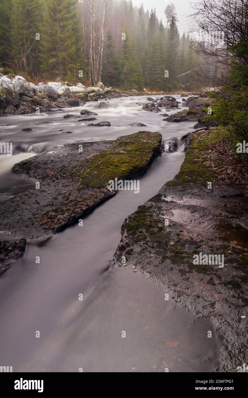 Marsh terrain hi-res stock photography and images - Alamy