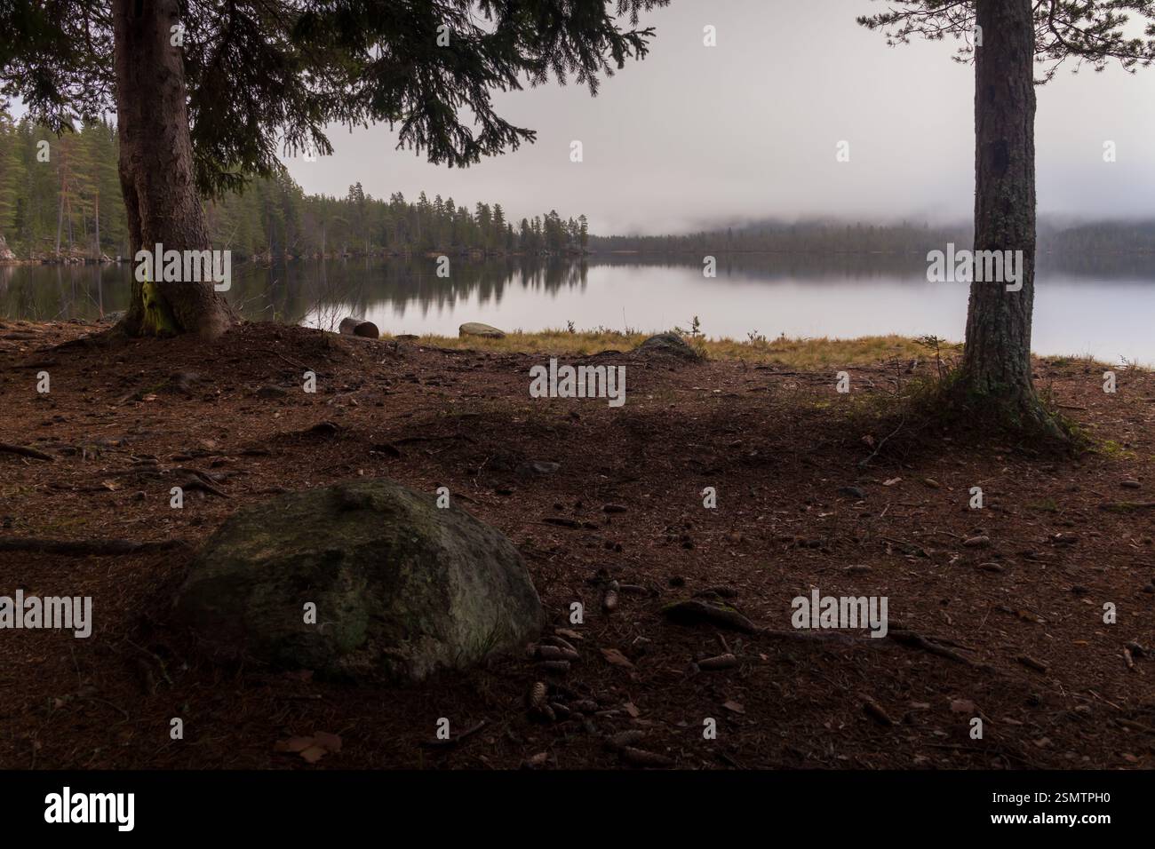 Late autumn by the water’s edge—tall golden grasses fade into the marsh ...
