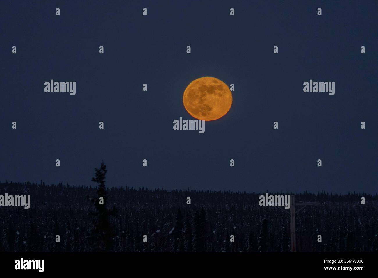 The Giant Yellow Moon Illuminates Alaska s Night The mesmerizing full ...