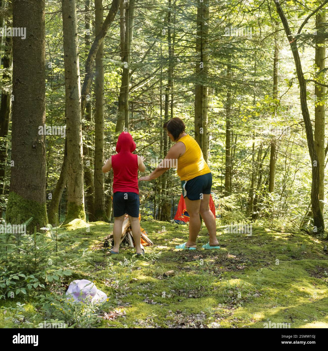 An adult and child work together to build a campfire amidst tall trees ...