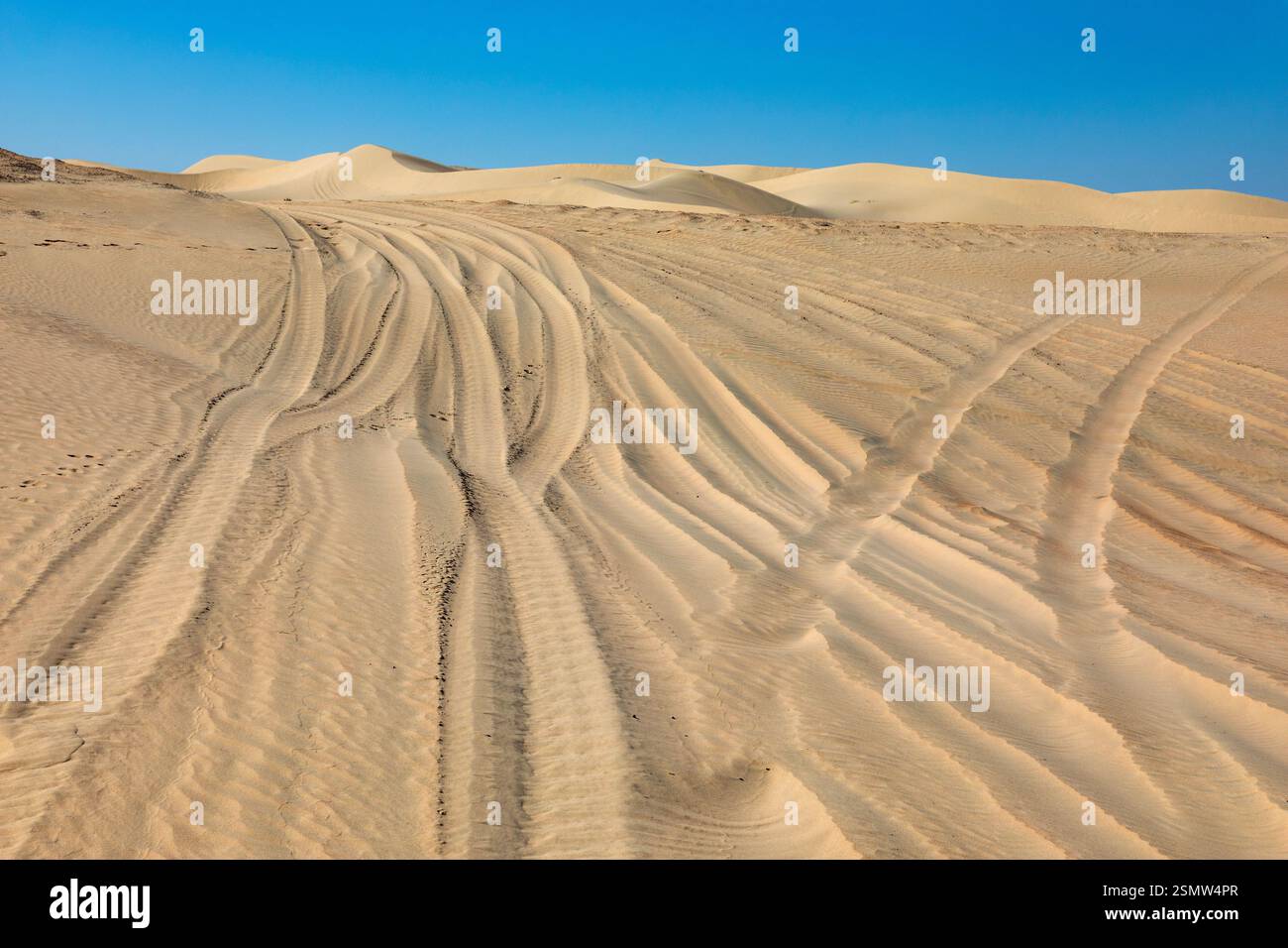 Desert landscape with tire tracks and trails, Desert road United Arab ...
