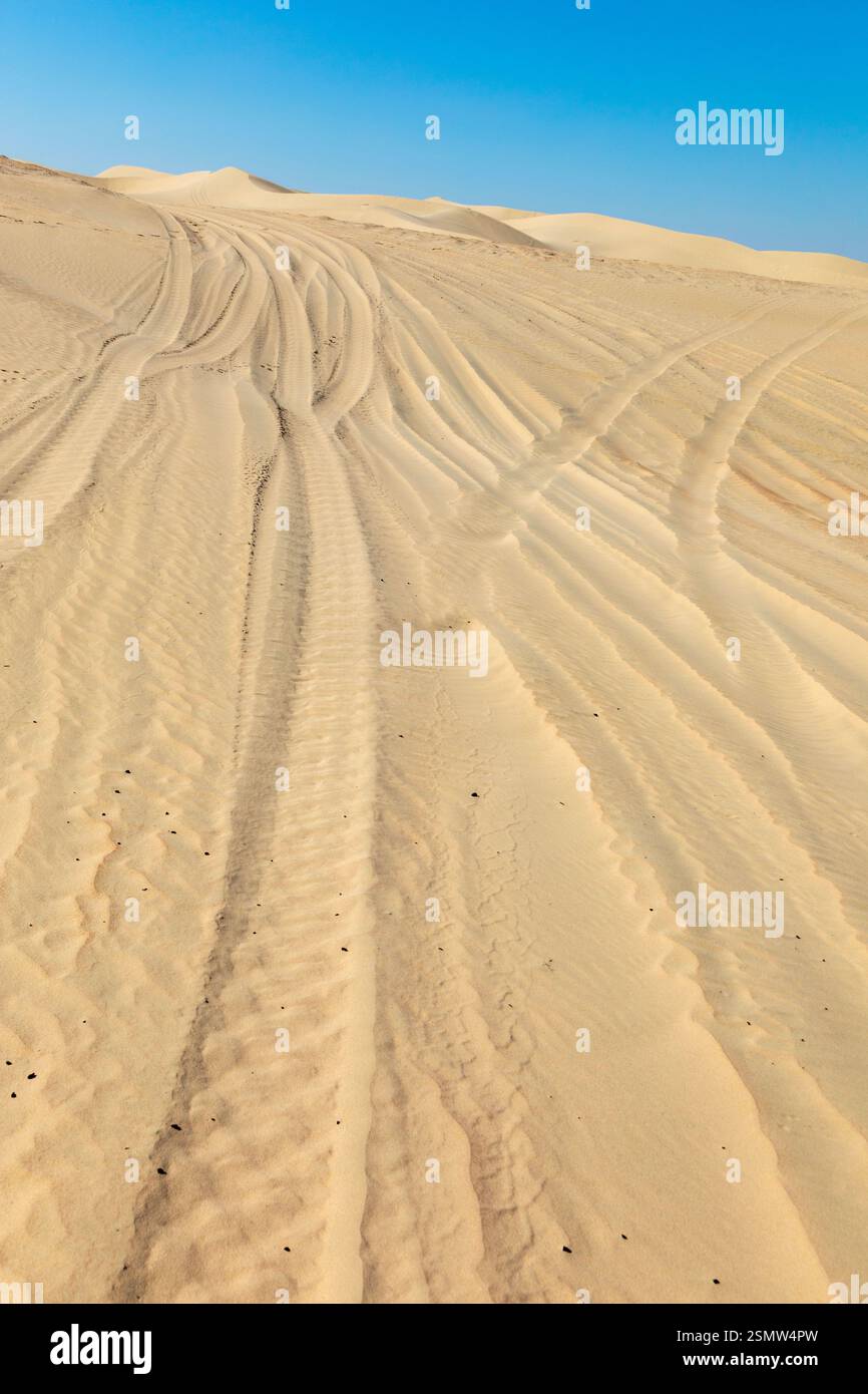 Desert landscape with tire tracks and trails Stock Photo - Alamy
